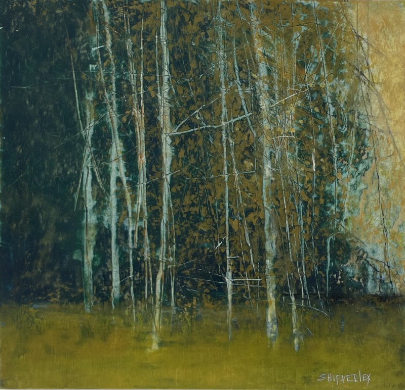 George Shipperley | Tory Folliard Gallery | Art Gallery | Milwaukee WI