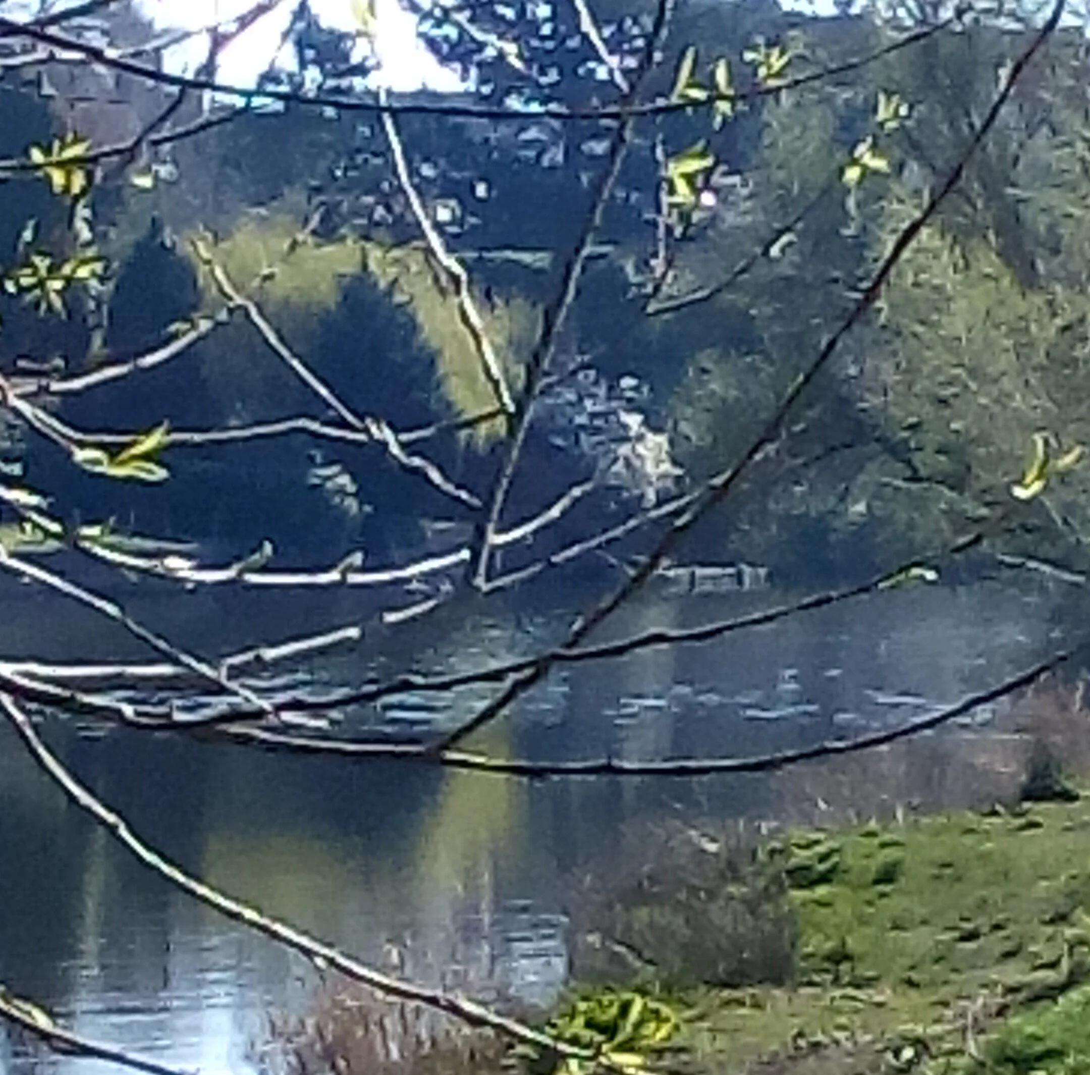 Living Differently — Retreat House Chester