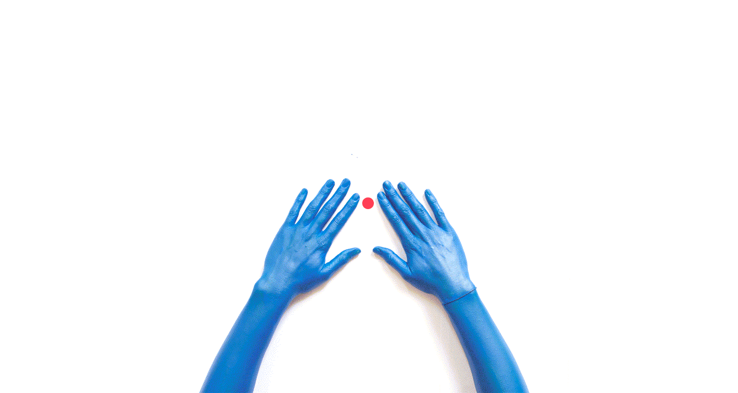 Valerie Chauffour - La Robotte