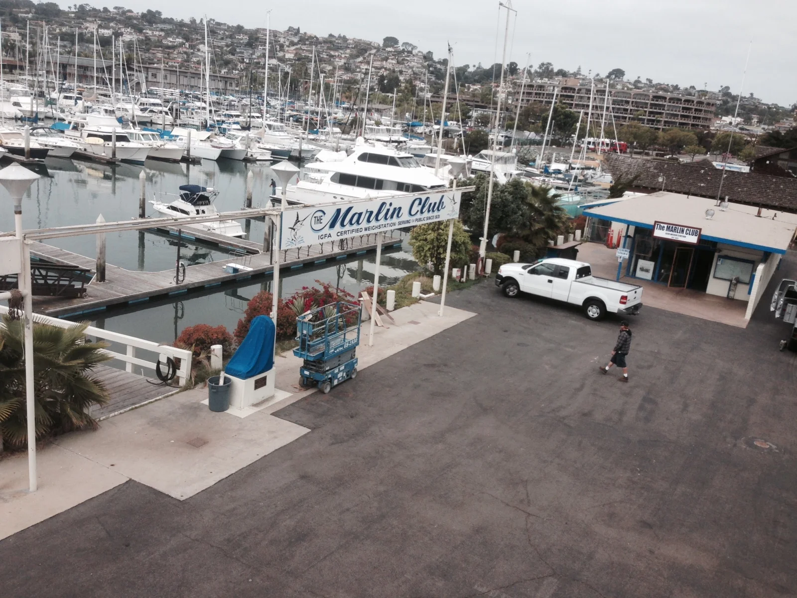 Fish & Bait Reports + Phone Numbers — The Marlin Club