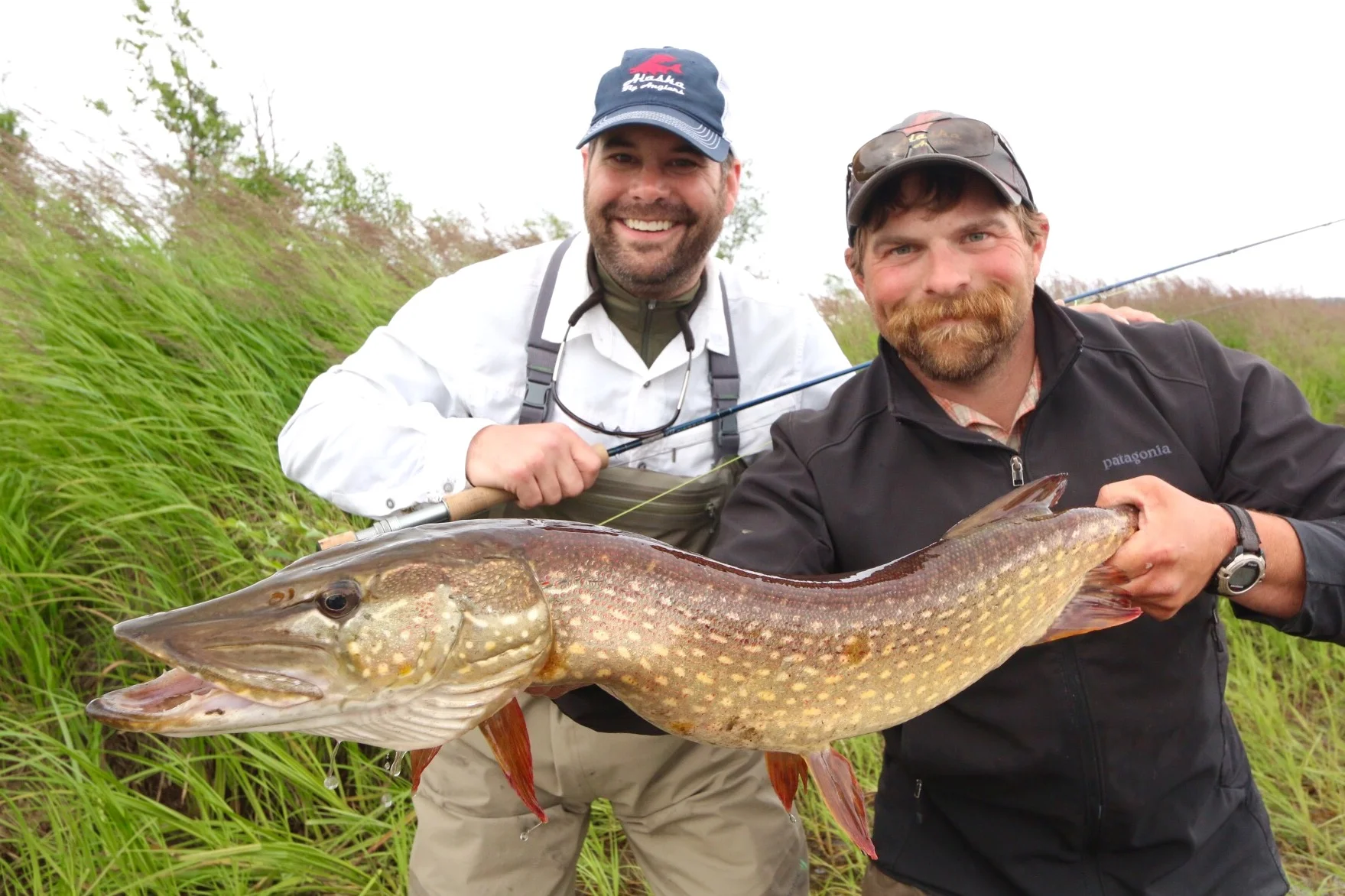Alaska Fly Anglers -Alaska trophy Rainbows, salmon, steelhead, Arctic ...