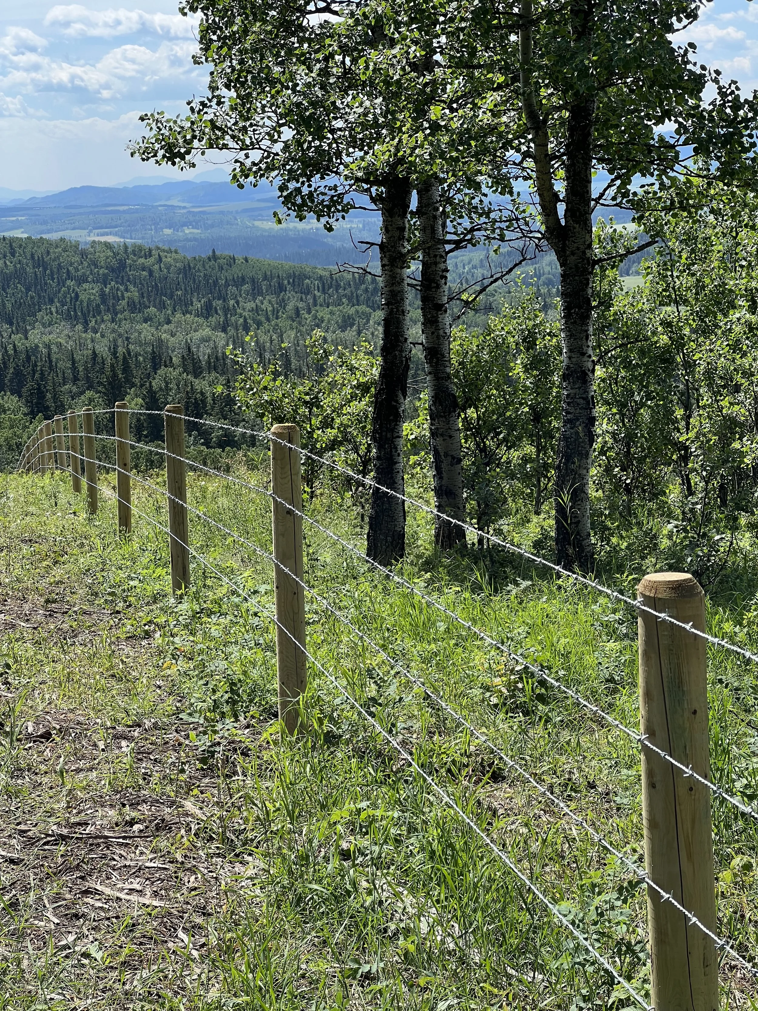 Wire Farm Fence