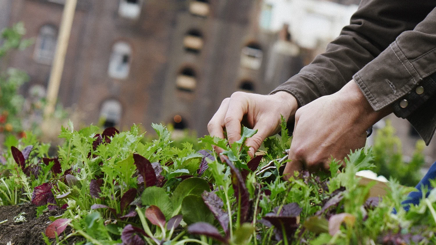 support — Nicky González Yuen