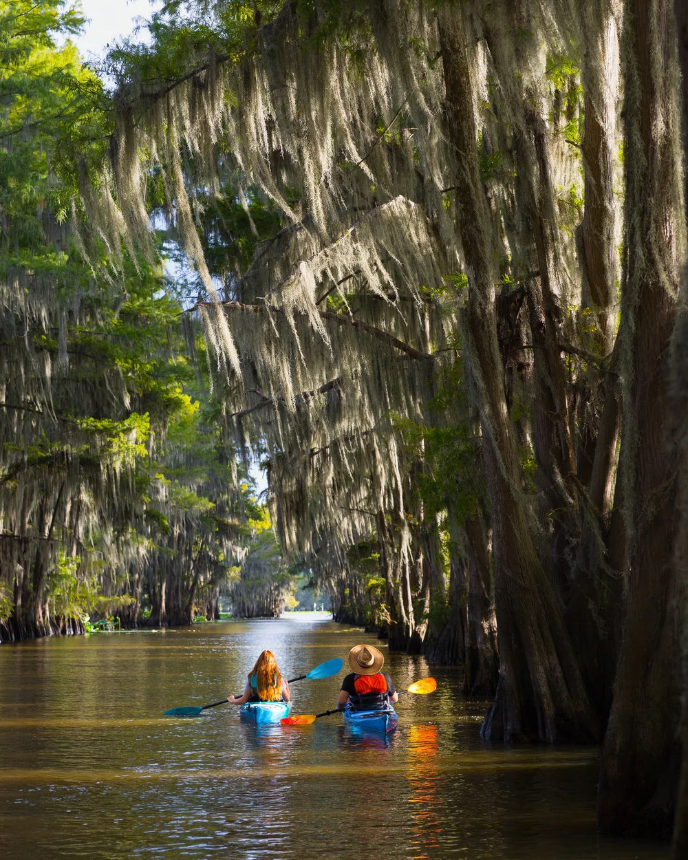 Government Ditch, Caddo Lake — Christopher Zebo Photography