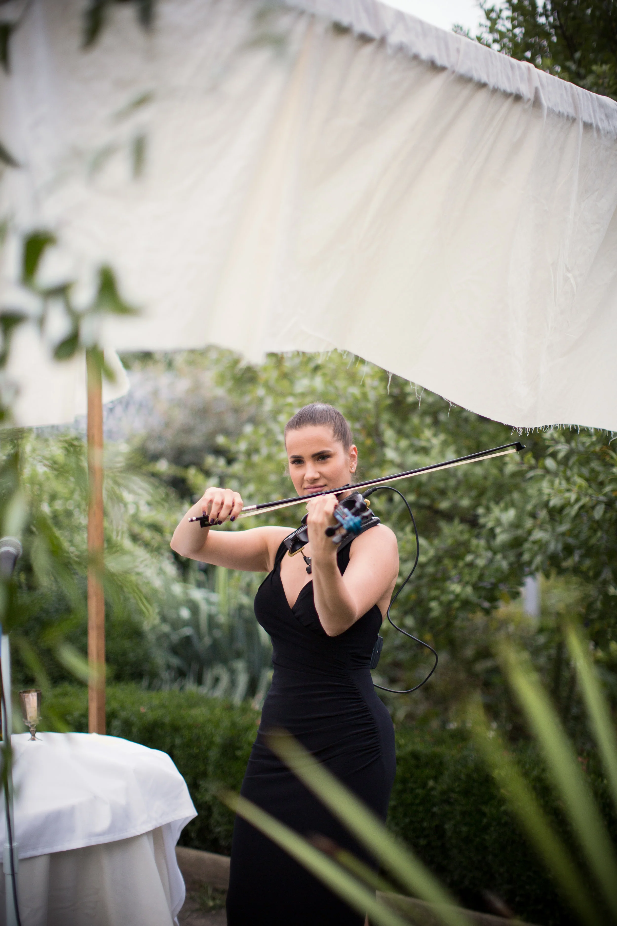 A Very Special Night At The Historic Snug Harbor — Alex Edge & Co.