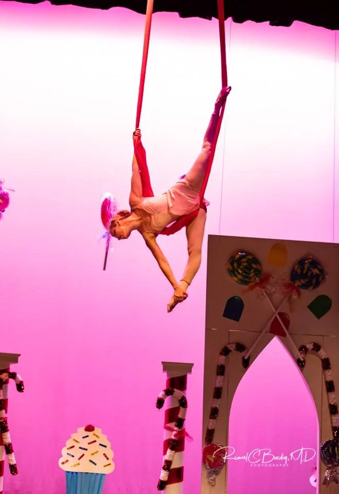 Arkansas Circus Arts