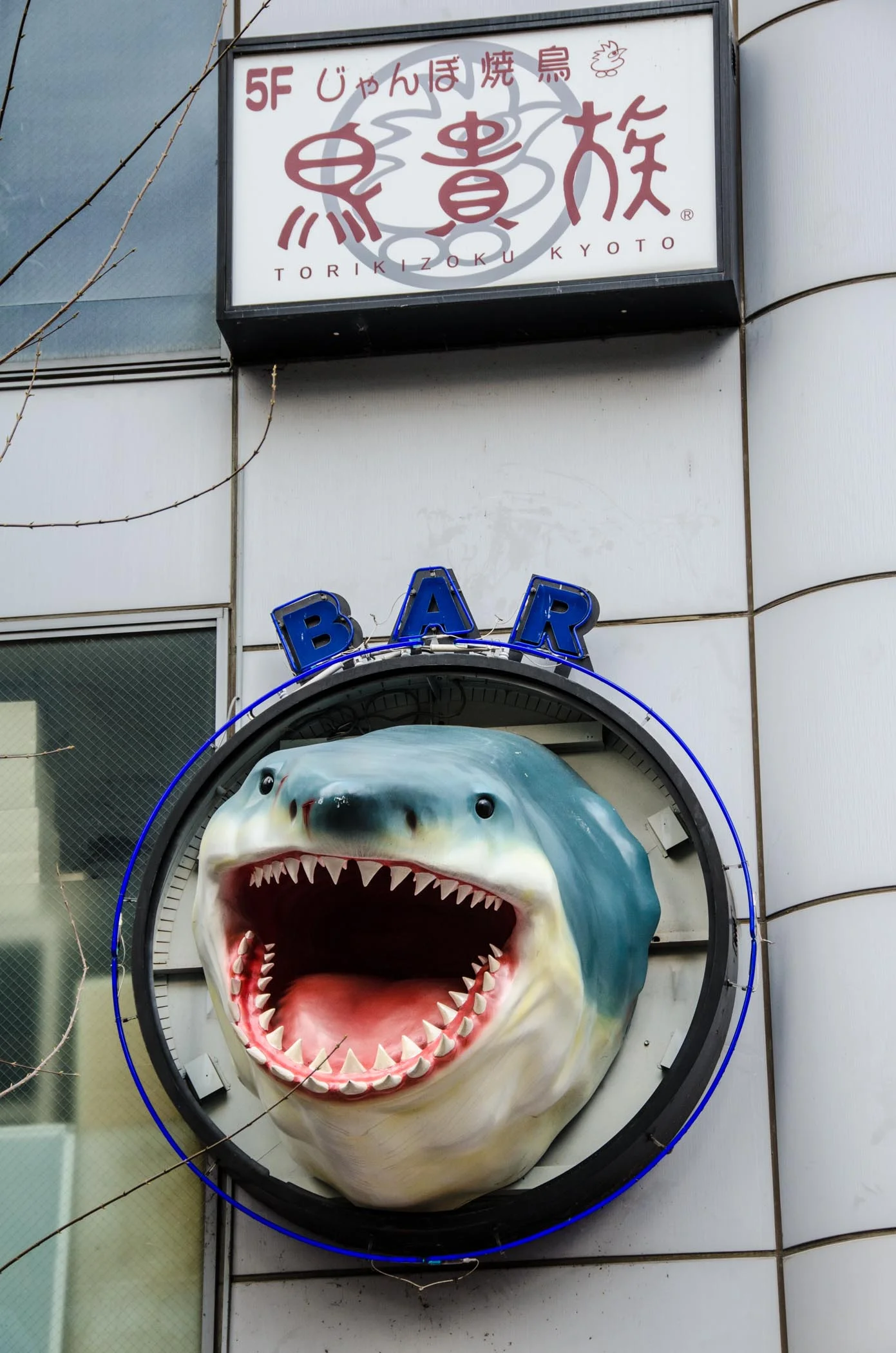 Ray Ellis Photography