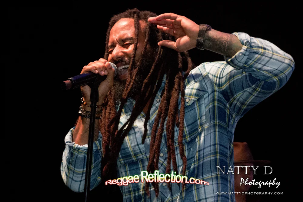 Marley Brothers Dreads