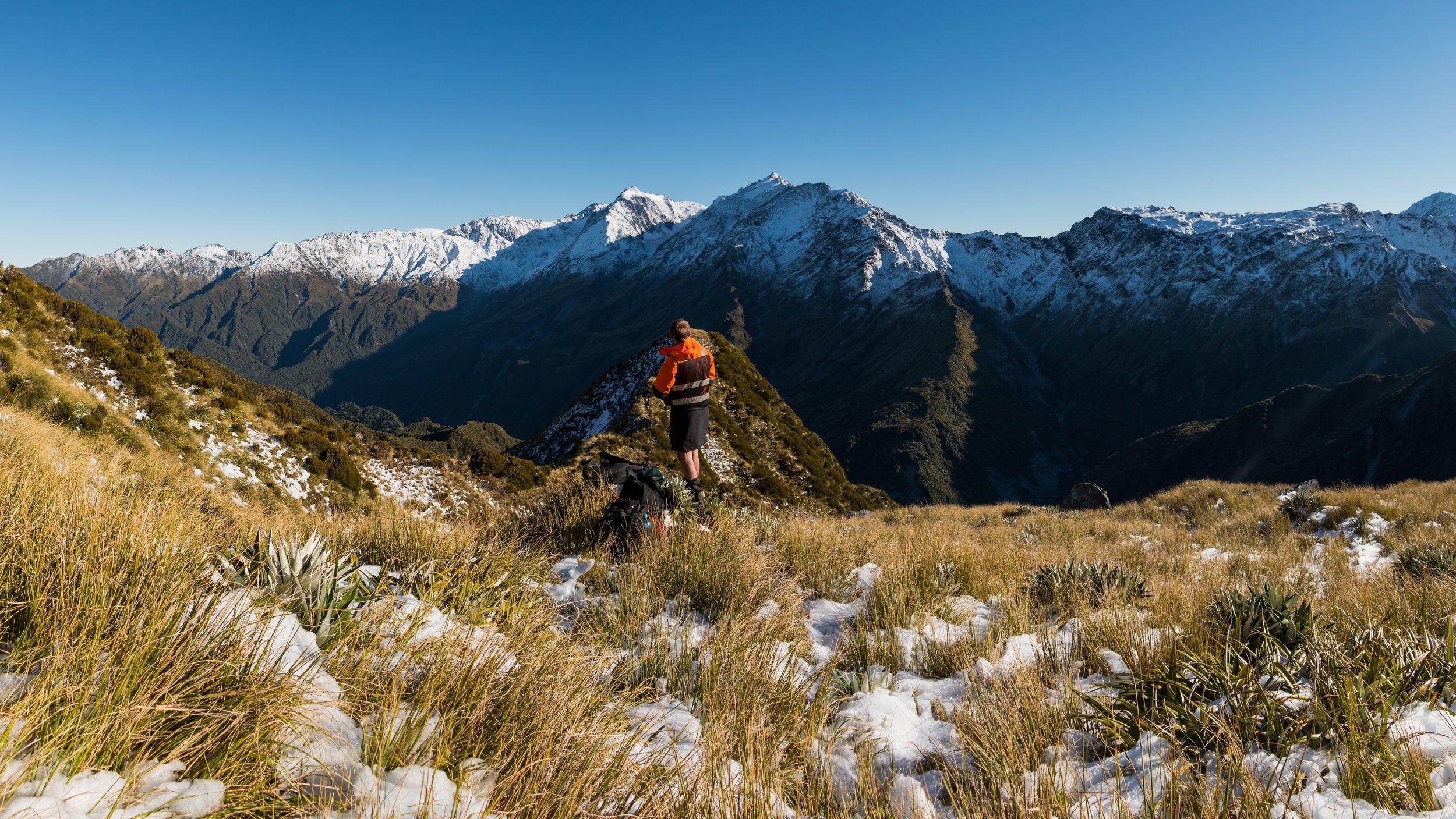 Findings — Zero Invasive Predators (ZIP)