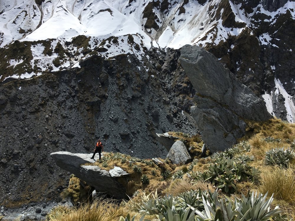 An Insight into ZIP — Zero Invasive Predators (ZIP)