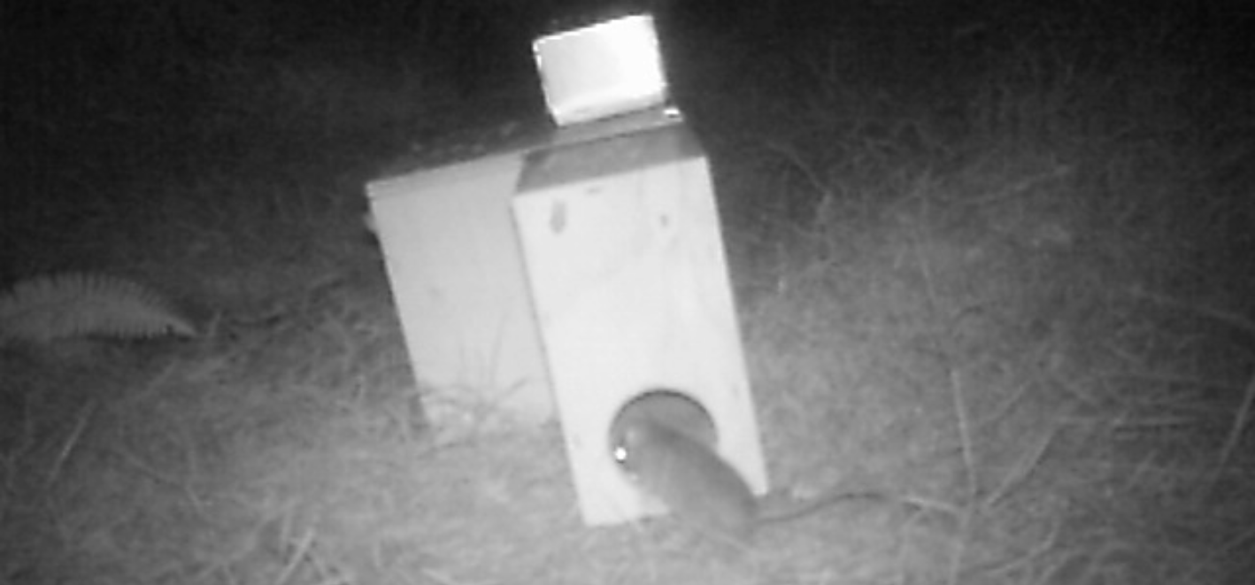 Technical Report #2: Automated Food Lure Dispenser — Zero Invasive ...