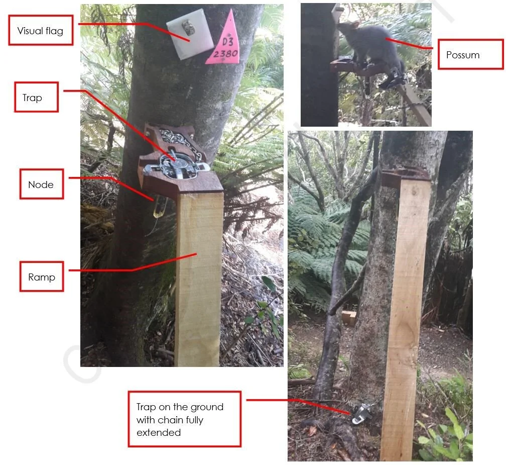 Technical Report #4: Productionised automated leg hold system for ...