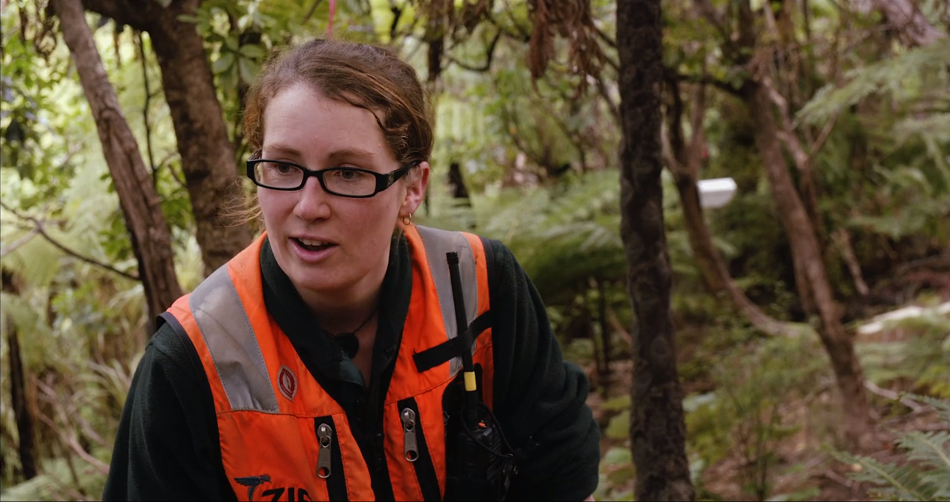 Zero Invasive Predators (ZIP) at Bottle Rock Peninsula, 2016 — Zero ...