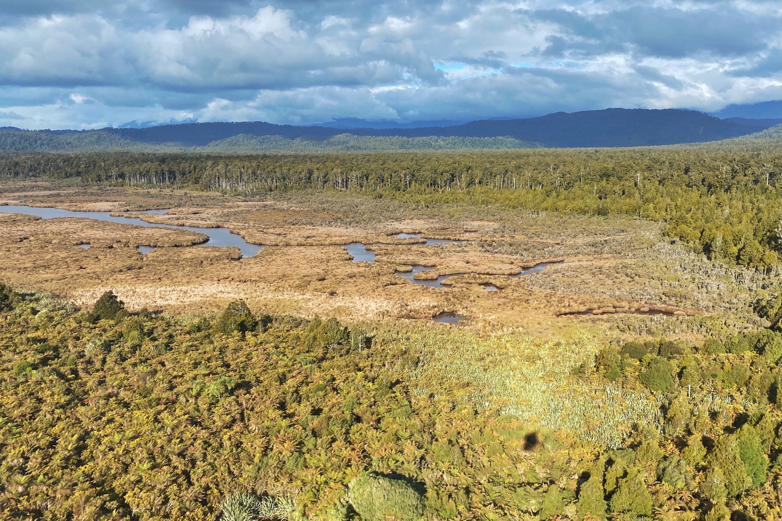 News — Zero Invasive Predators (ZIP)