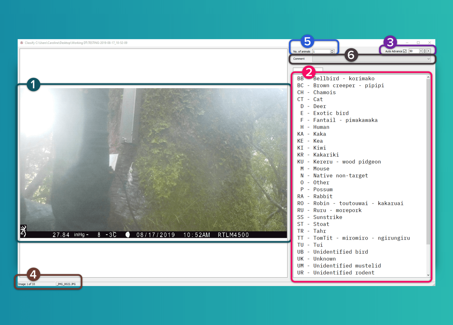 ZIP Classifier > Using ZIP Classifier — Zero Invasive Predators (ZIP)