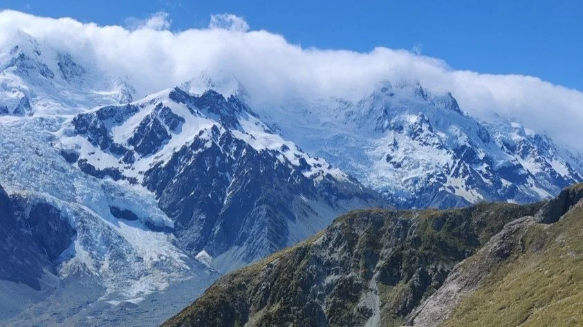 Zero Invasive Predators (ZIP)