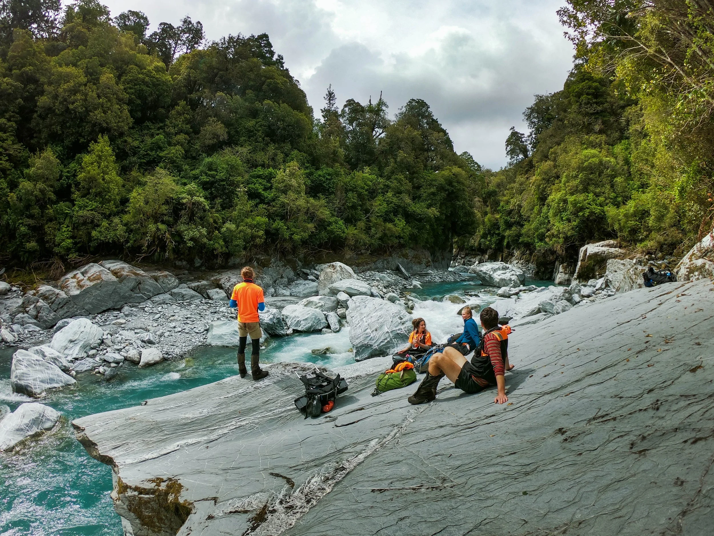 News — Zero Invasive Predators (ZIP)