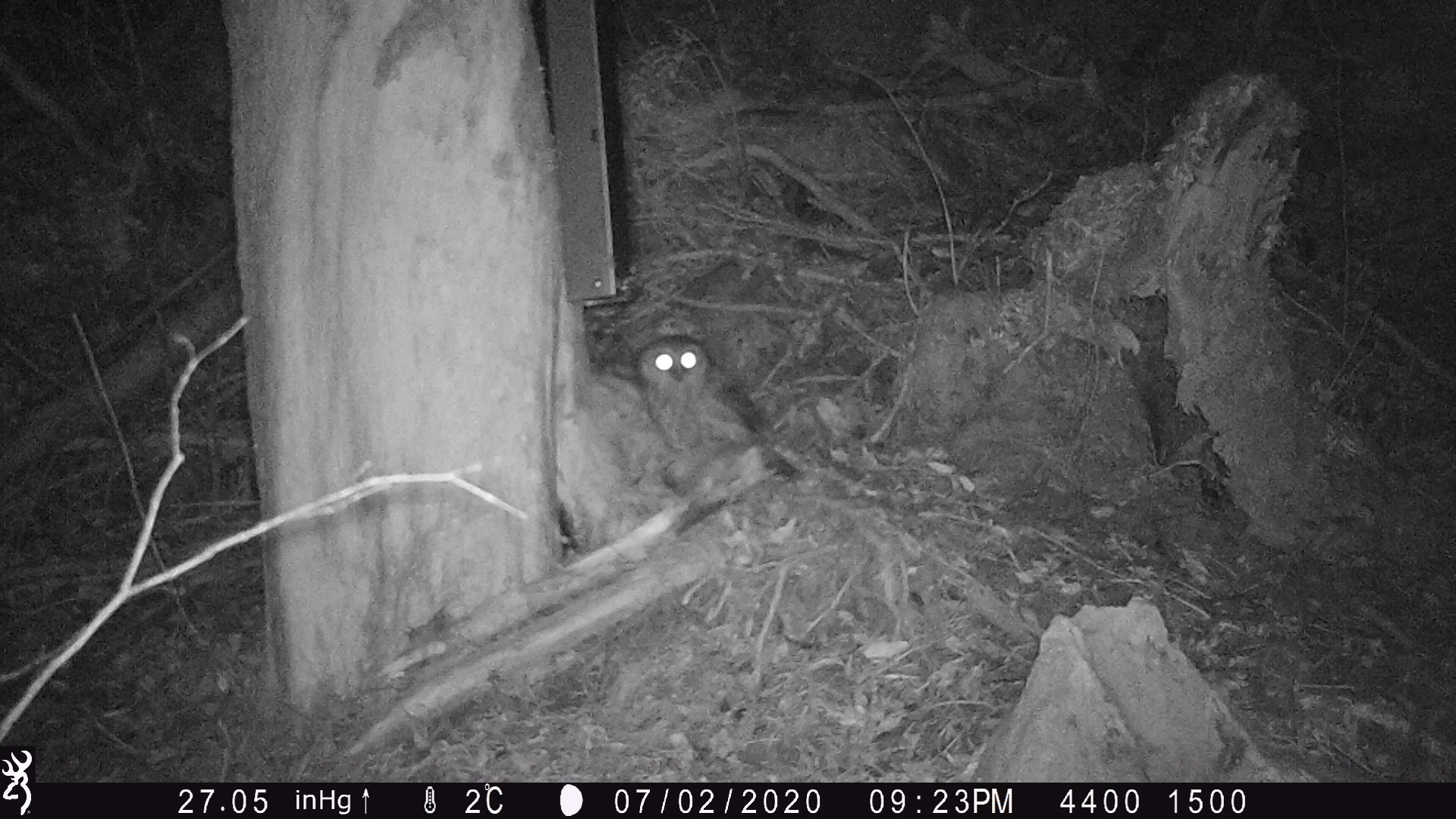 ZIP Classifier > Key considerations — Zero Invasive Predators (ZIP)