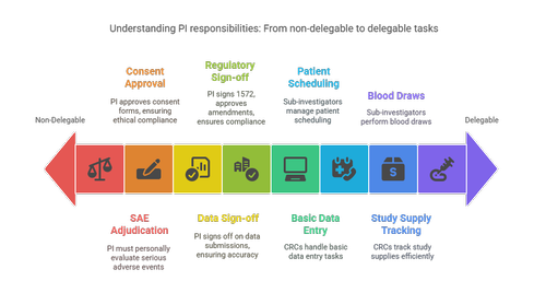 Principal Investigator Role in Clinical Trials: Complete 2025 Guide