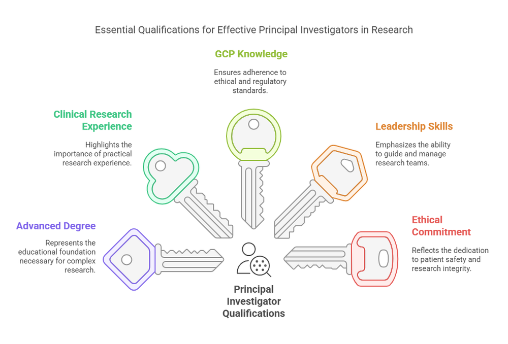The Role of a Principal Investigator in Clinical Trials