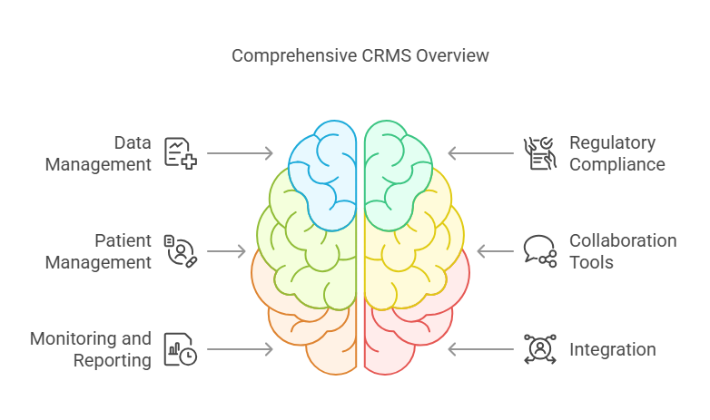 Best Clinical Research Management Software for Streamlined Trials 2025 ...