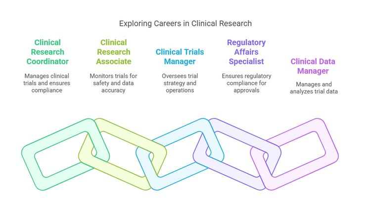 Why Clinical Research Is a Growing Career Path