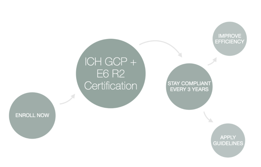 The Importance of ICH GCP - CCRPS Clinical Research