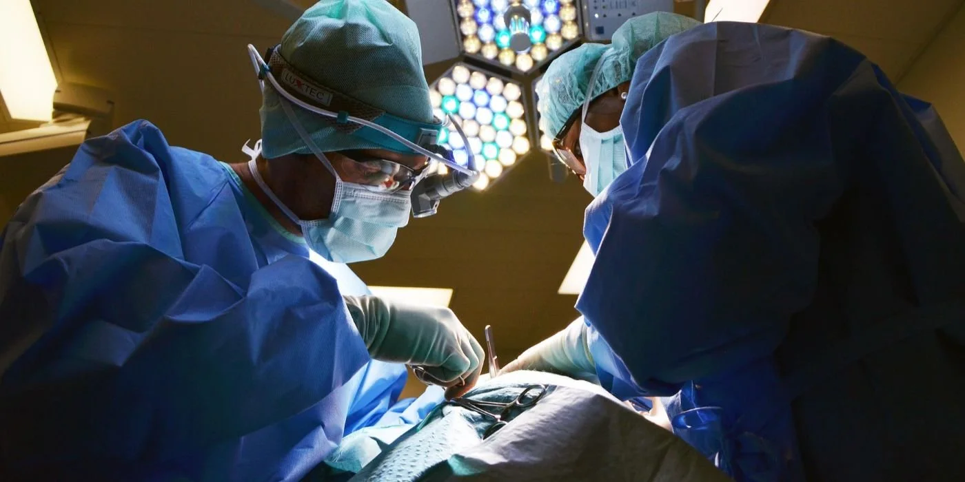 Medical Science Liaison (MSL) Career Roadmap: Steps, Skills, and Salaries