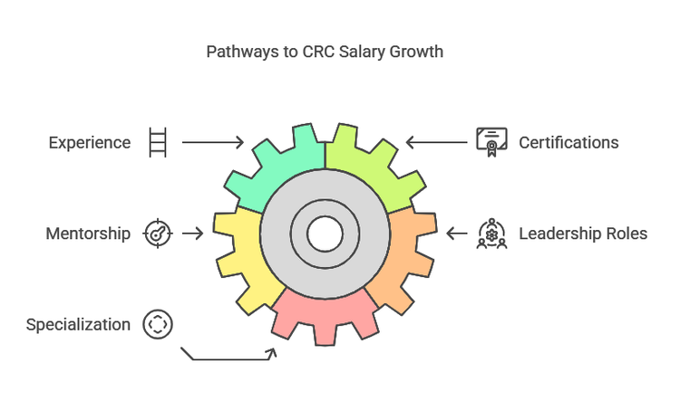 Clinical Research Coordinator Salary Guide | CCRPS