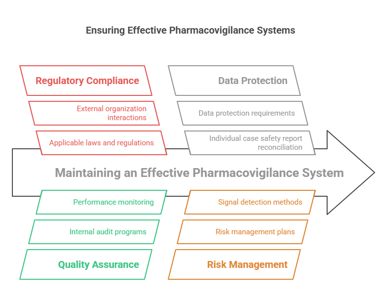 Good Pharmacovigilance Practice Explained | CCRPS