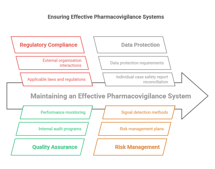 Good Pharmacovigilance Practice: EMA GVP Modules Guide - CCRPS Clinical ...