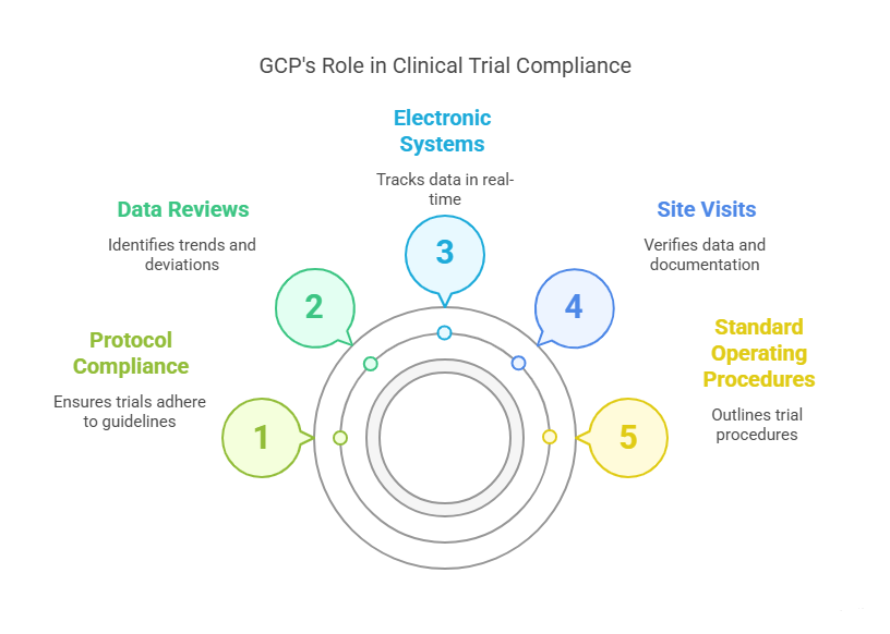 Global Pharmacovigilance Regulations Overview