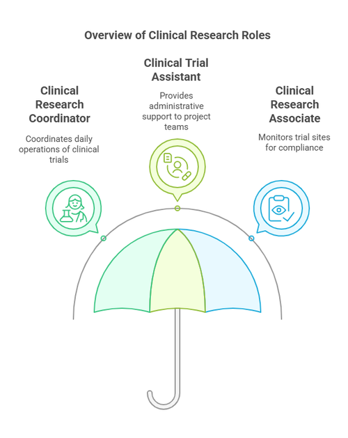 How to Become a Clinical Project Manager | CCRPS