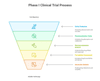 Phase I Clinical Trials Explained: Objectives, Risks & Process