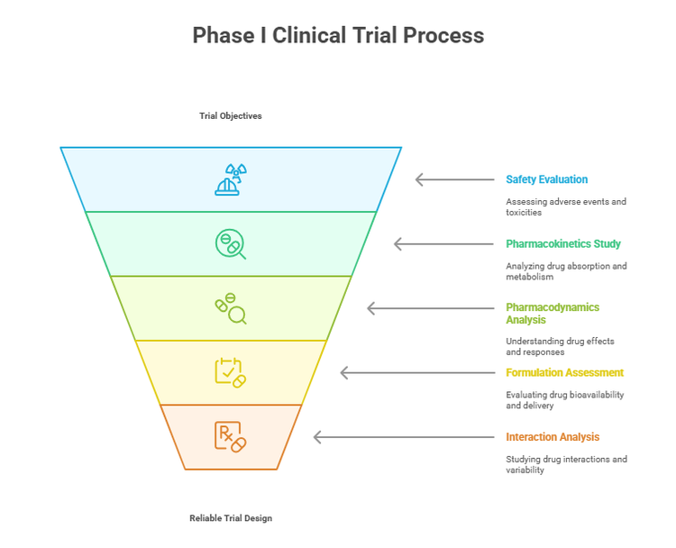 Phase I Clinical Trials Explained: Objectives, Risks & Process