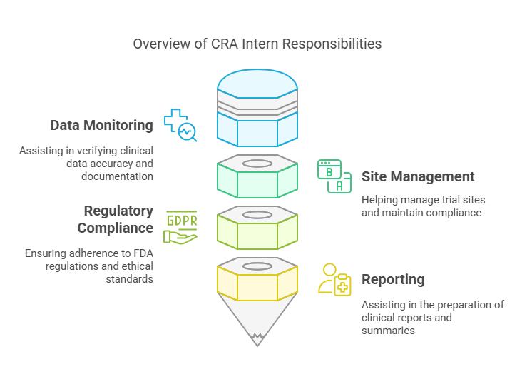 Clinical Research Associate Intern Guide | CCRPS