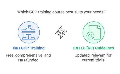 Top GCP Training Courses to Choose From