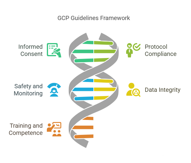 Role of GCP in Trial Monitoring & Auditing | CCRPS