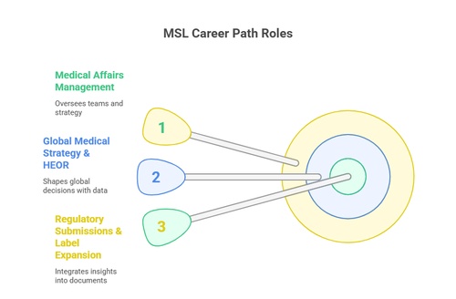 Medical Science Liaison (MSL) Essential Responsibilities & Skills
