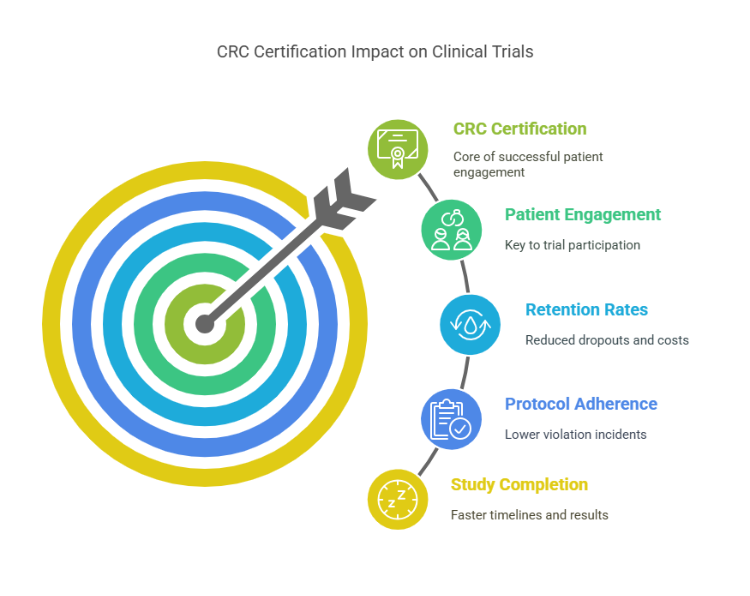 Clinical Research Coordinator Certification: What You’ll Learn
