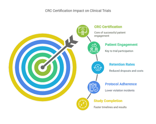 Clinical Research Coordinator Certification: What You’ll Learn