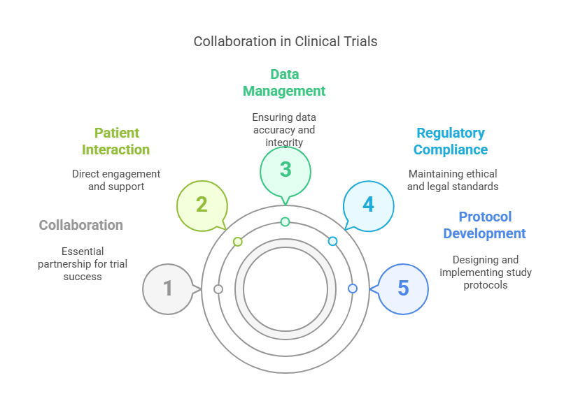 Role of Principal Investigator in Trials | CCRPS