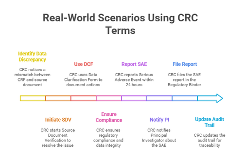 Top 20 Terms Every Clinical Research Coordinator CRC Must Understand ...