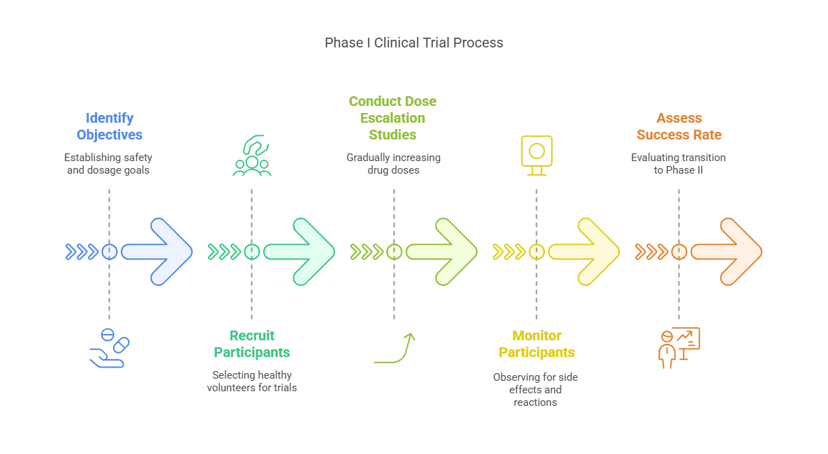 Clinical Trial Phases Explained | CCRPS