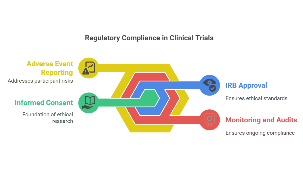 Regulatory Compliance in Clinical Trials Explained - CCRPS Clinical Research