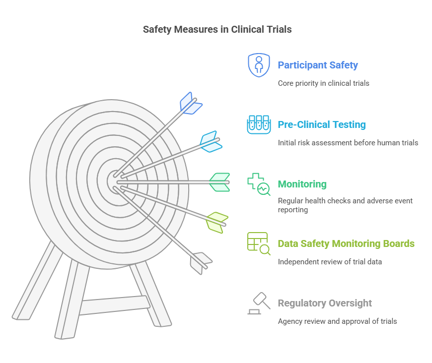 How Clinical Trials Work: A Simple Guide | CCRPS