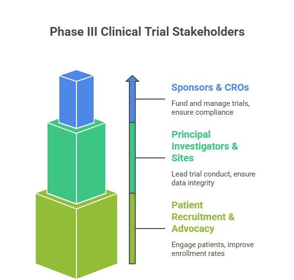 Phase III Clinical Trials: Ultimate Guide & Real-World Case Studies