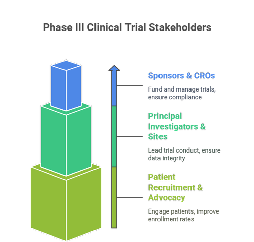 Phase III Clinical Trials: Ultimate Guide & Real-World Case Studies