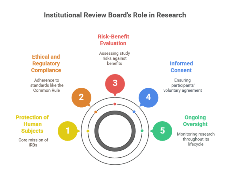 Understanding IRBs: Roles, Responsibilities & Ethics