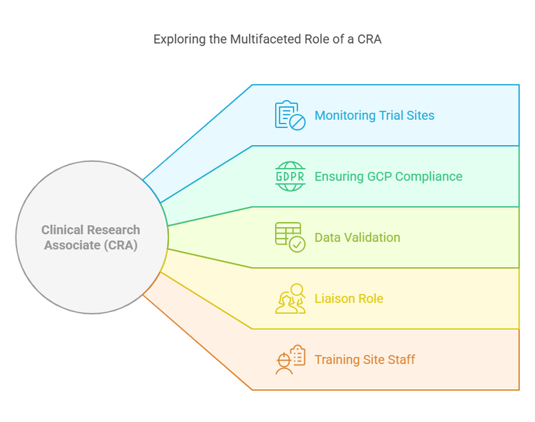 Clinical Research Associate Certification Canada